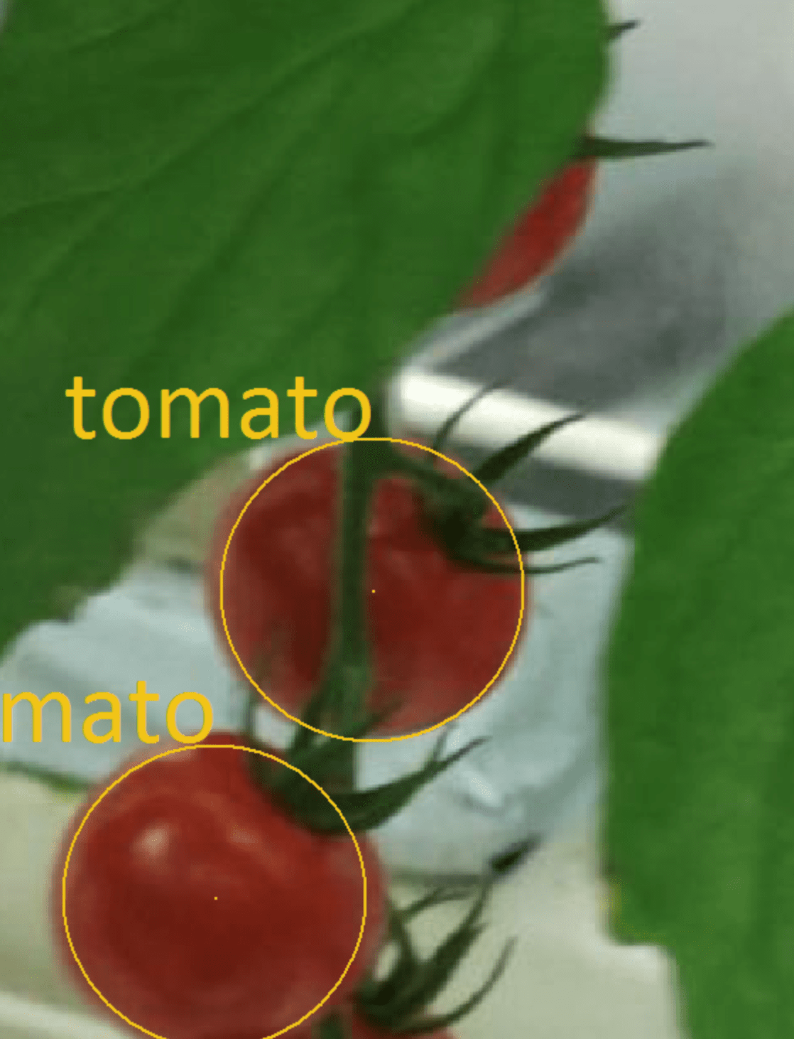 Agri - Thank You for your interest | Seedit Vision