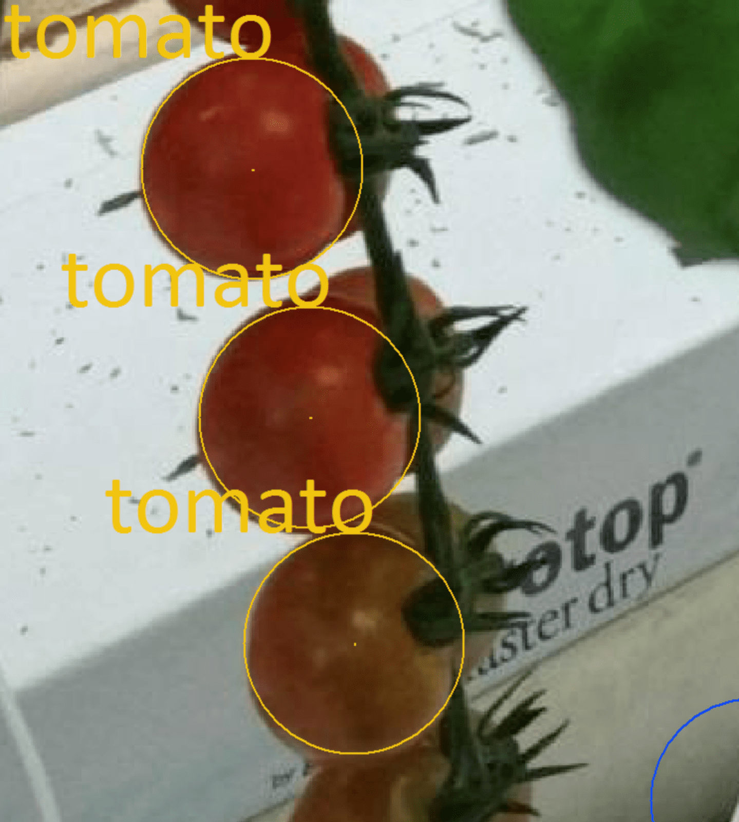 Agri - Thank You for your interest | Seedit Vision